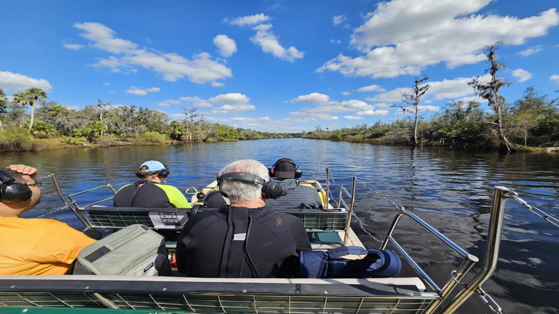 Explore old Florida by hunting fossils made over millennia - That's So ...